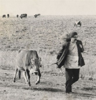 Dariush Mehrjui’s “The Cow” and the Birth of Iranian New Wave | Movie ...
