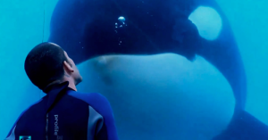 Objectivity in Documentary Film | Movie Mezzanine