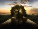 fountain tree | Movie Mezzanine